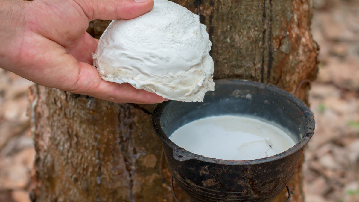 Comprehensive Guide to Rubber Extrusions | Nufox Rubber